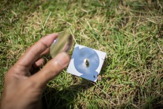 How to Start a Fire Without Matches | The Art of Manliness