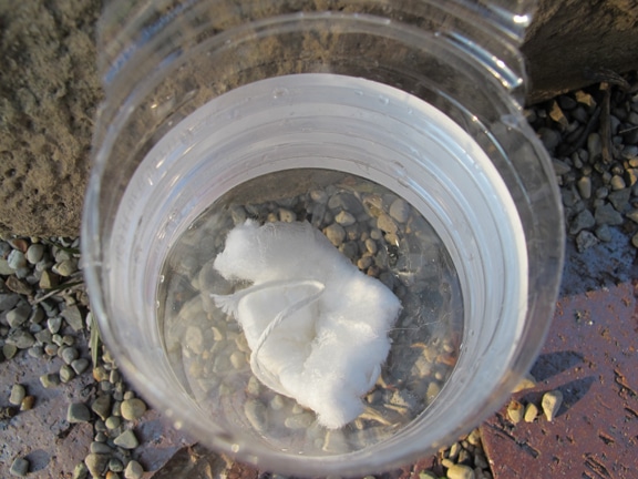 Tampons for Survival | Survival Monkey Forums