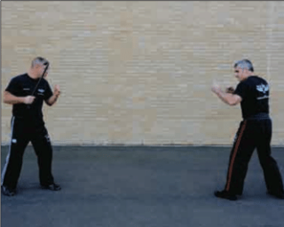 Krav Maga Technique of the Month: Overhand Direct One-Handed Strike ...