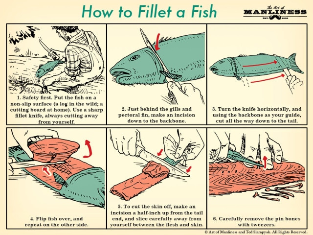 How to Fillet a Fish: An Illustrated Guide | The Art of Manliness