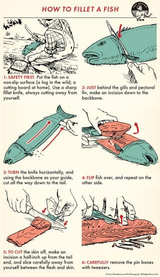 How to Fillet a Fish: An Illustrated Guide | The Art of Manliness
