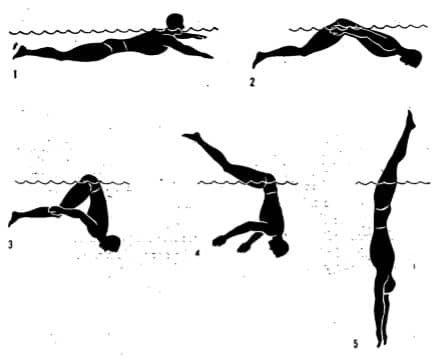 Jack Knife Dive Tekna Announces New Dive Knives And Underwater Strobe