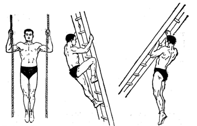 Obstacle Course Races: Their History and Future | The Art of Manliness