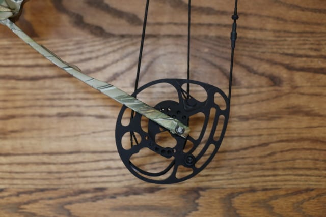 Compound Bows: Anatomy, Lingo, and Buying Tips