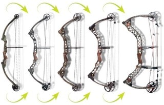 Compound Bows: Anatomy, Lingo, and Buying Tips