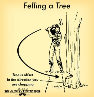 A Primer on the Ax: How to Use an Ax Safely and Effectively | The Art ...