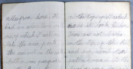 The Journals and Field Notes of Teddy Roosevelt | The Art of Manliness