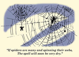 22 Weather Proverbs That Are Actually True | The Art of Manliness