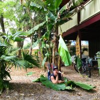 How to Roast a Pig Underground | The Art of Manliness