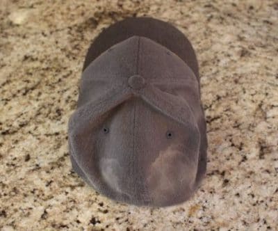 The Best Way to Clean a Baseball Cap | The Art of Manliness
