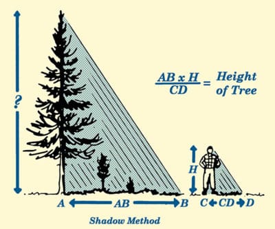 Field-Expedient Tricks for Estimating the Height and Width of Objects ...
