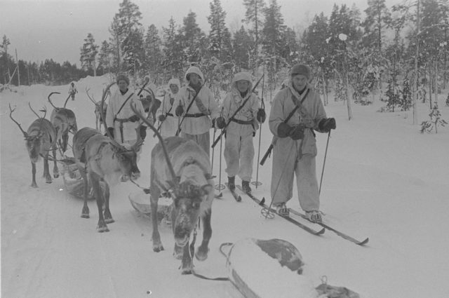 Got Sisu? Finnish Grit Against Russia in the Winter War | Art of Manliness