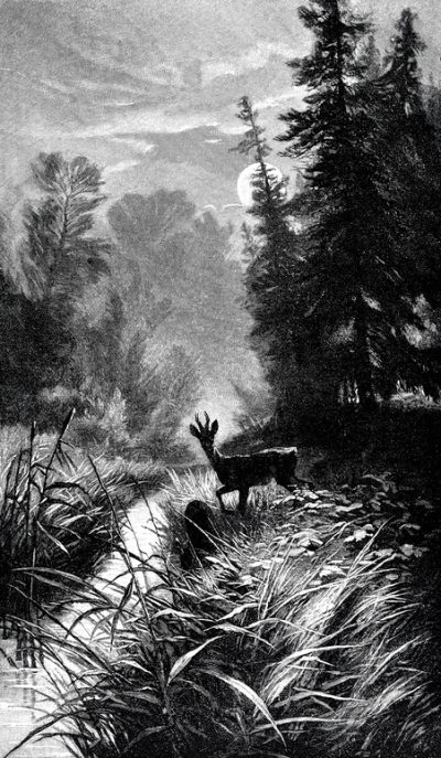 The Magic of Walking at Night | The Art of Manliness