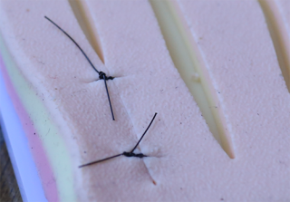 Een wond hechten | ISNCA