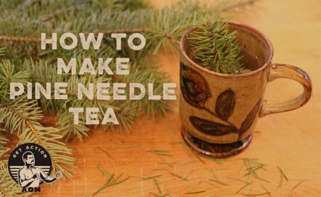How to Make Pine Needle Tea | The Art of Manliness