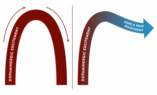 Dopamine's Effects on Your Life | The Art of Manliness