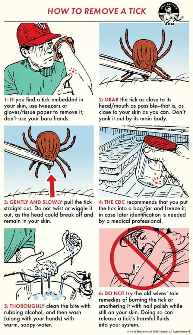 How to Remove a Tick: An Illustrated Guide | The Art of Manliness