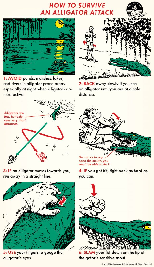 Skill of the Week: Survive an Alligator Attack | The Art of Manliness