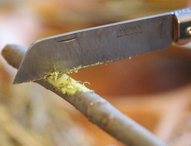 Using Willow Bark as Natural Aspirin | The Art of Manliness