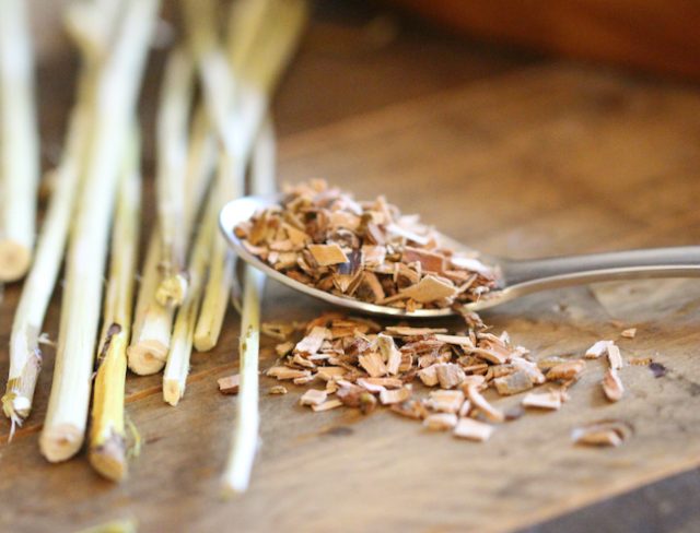 Using Willow Bark as Natural Aspirin | The Art of Manliness