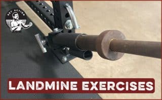 Incorporating Landmine Exercises for a Fresh Workout Routine | The Art ...