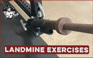 Incorporating Landmine Exercises for a Fresh Workout Routine | The Art ...