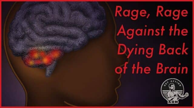 Rage, Rage Against the Dying Back of the Brain | The Art of Manliness