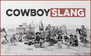Saddle Up! A Dictionary of Old-Time Cowboy Slang | The Art of Manliness