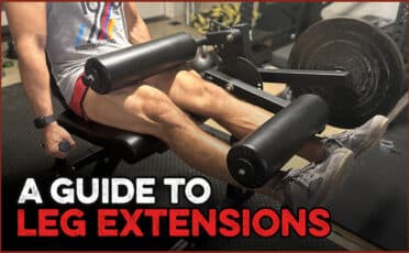 The Right Way to Do Leg Extensions for Strong and Meaty Quads | The Art ...