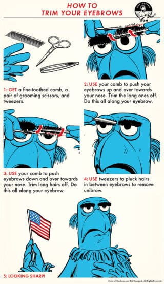 How to Trim Your Eyebrows | The Art of Manliness