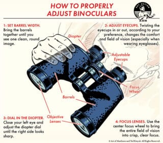How to Properly Adjust Your Binoculars | The Art of Manliness